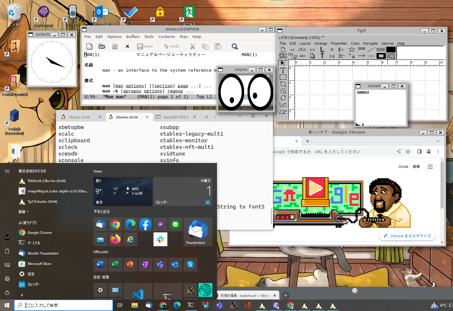 wsl GUI がWindows10で利用可能に – tsaitoh.net